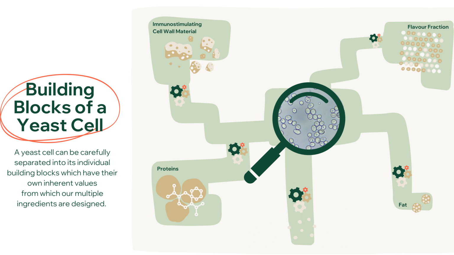 Home - ProteinDistillery - Upcycled ingredients from sidestreams