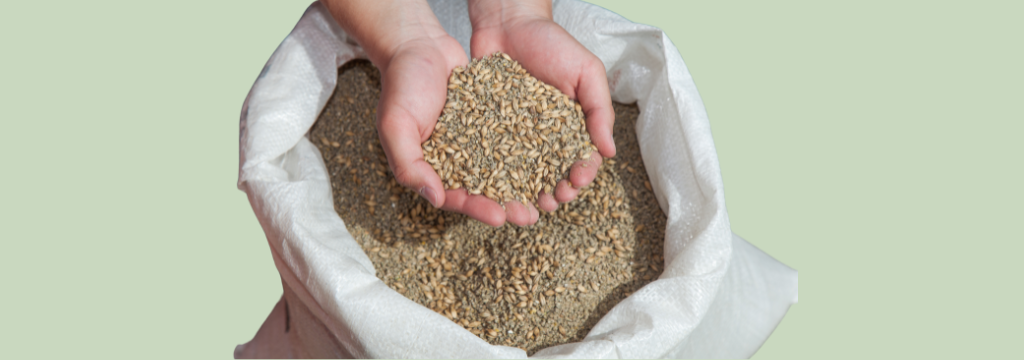 Home - ProteinDistillery - Upcycled ingredients from sidestreams